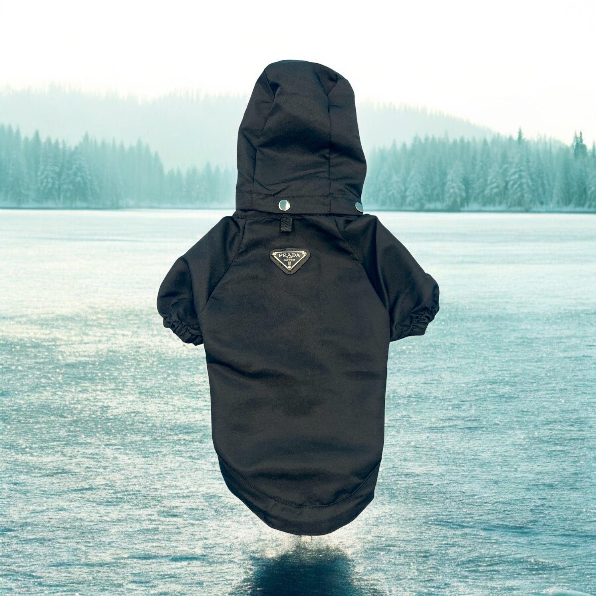 Pawda black anorak detachable - dog jacket – bearsupreme